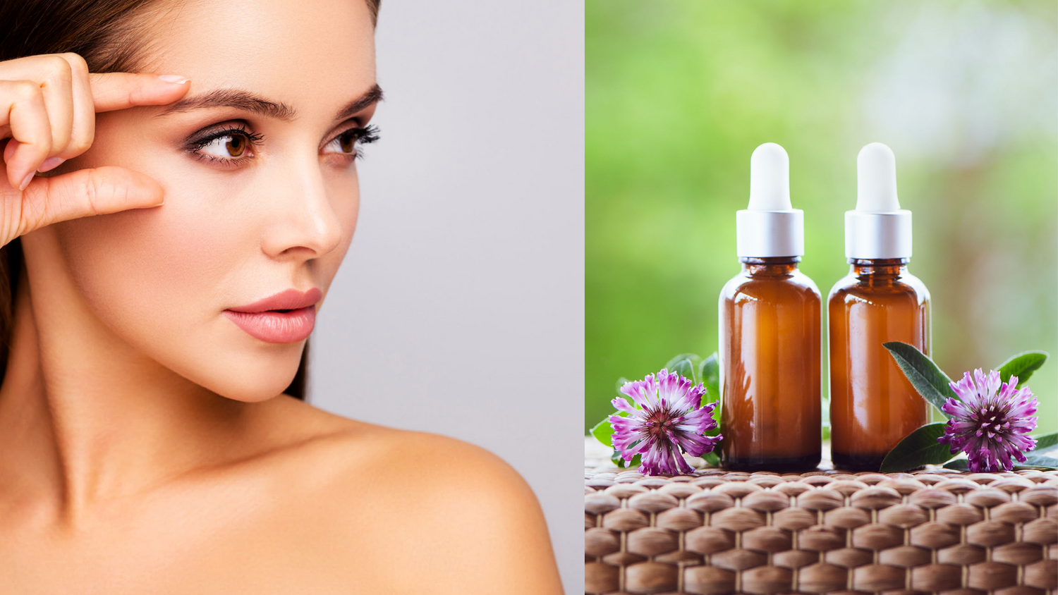 How to Reduce Wrinkles with Red Clover Oil – Blissani: Vegan-Friendly ...